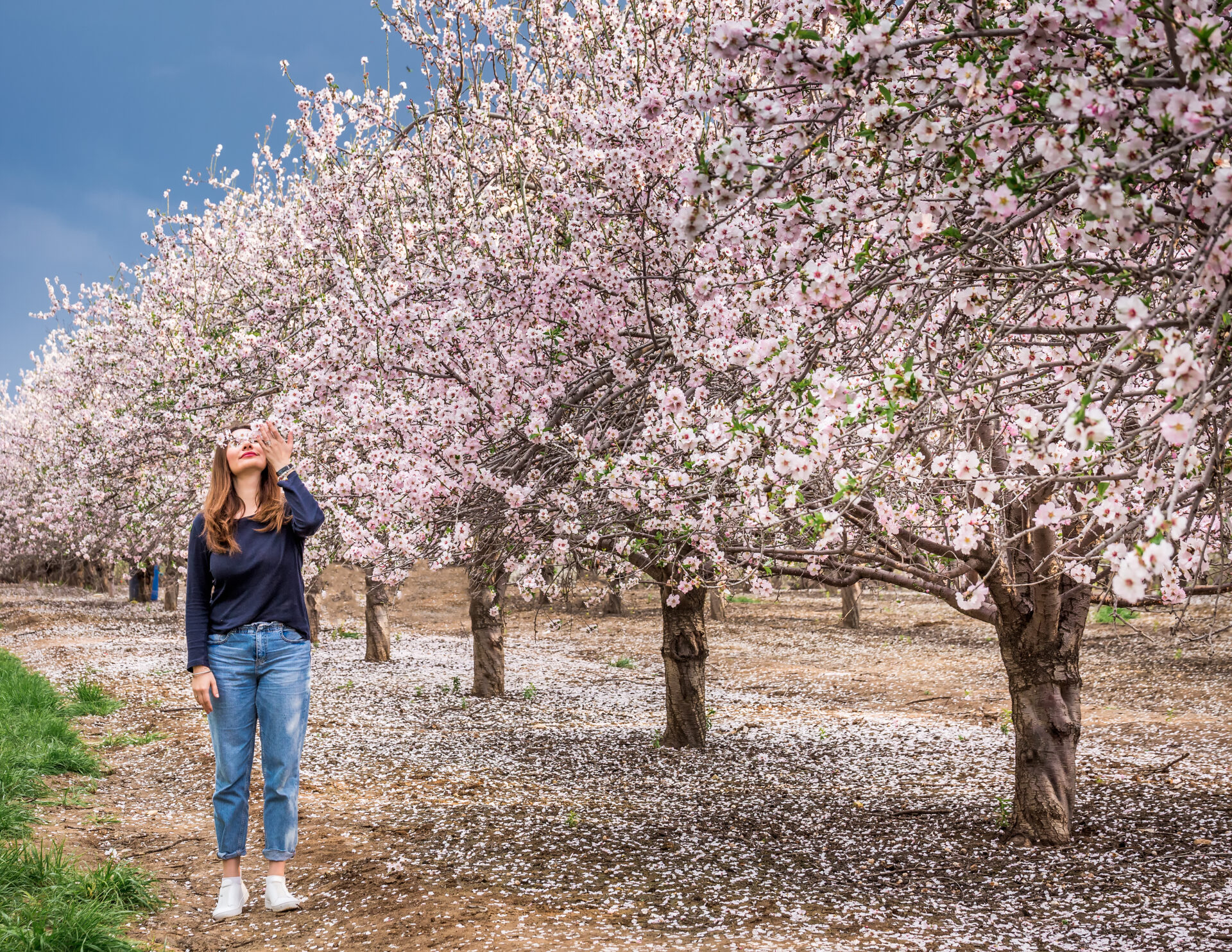 Blossom Tree - Sweet Selah Ministries