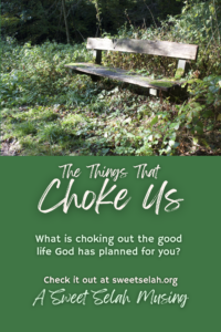 The Things That Choke Us - Sweet Selah Ministries